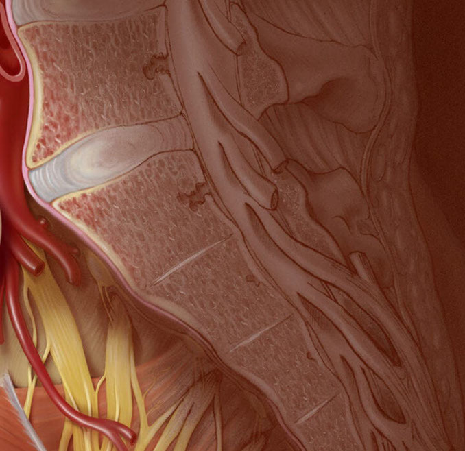 M8 Pharmaceuticals Announces approval of Mokbio® PS128™ in Mexico ...